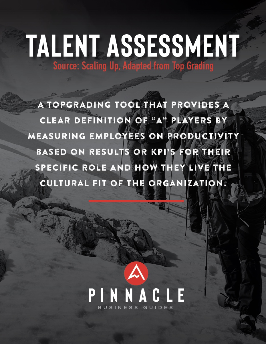 Talent Assessment – Build a High-Performing Team
